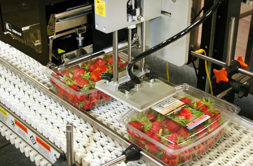 4 Reasons to Automate Your Labeling Process